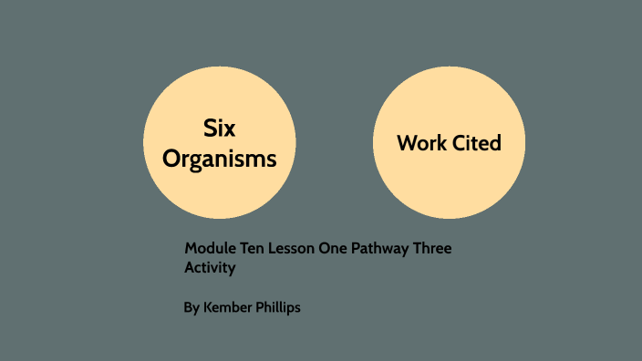 Module Ten Lesson One Pathway Three Activity by Kember Phillips on Prezi