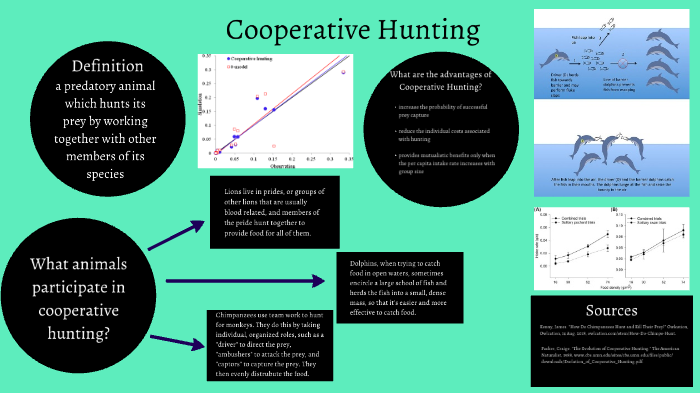 Cooperative Hunting presentation by Lila Epstein on Prezi