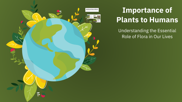 Importance of Plants to Humans by Cy Ecalnir on Prezi