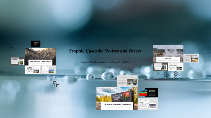 Trophic Cascade: Wolves and Rivers by Elenah Sandhu on Prezi