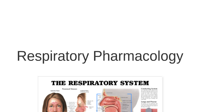Respiratory Pharmacology by Chris Arakawa on Prezi