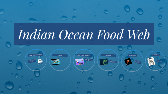 Indian Ocean Food Web by Tudor Serban on Prezi