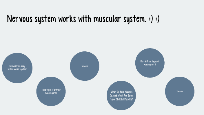 Nervous system works with muscular system to make muscles move. by ...