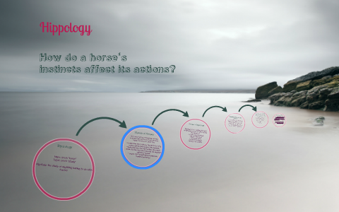 Hippology by Shane Mathis on Prezi