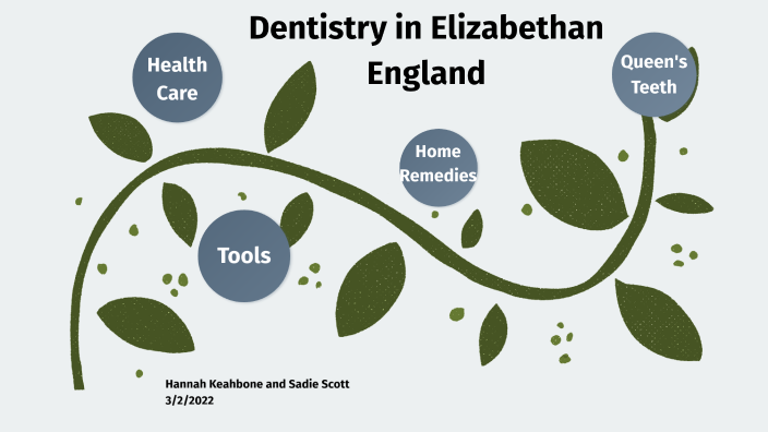 Dentistry in the Elizabethan Era by Sadie Scott on Prezi
