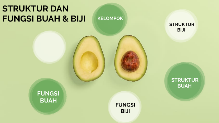 Strukur dan Fungsi Buah & Biji by Amiya Ren on Prezi