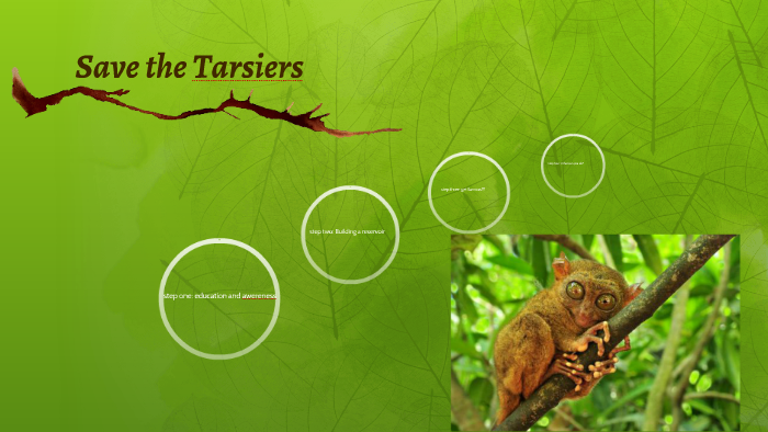 Save the Tarsiers by Djemaro Dalloesingh on Prezi