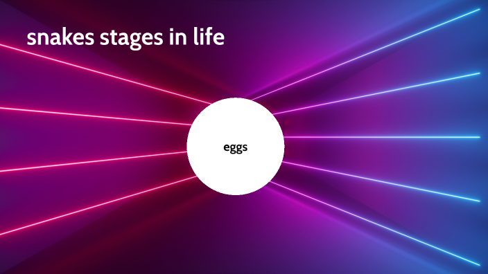 snake stages by Lucia Sharp on Prezi