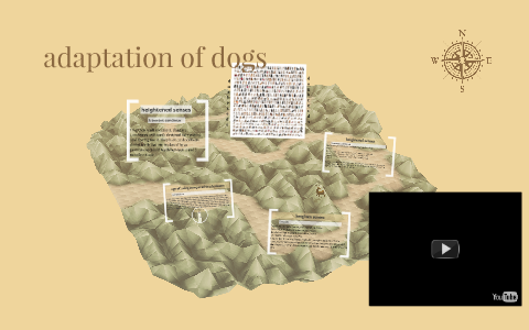 adaptation of dogs by tristan hicks on Prezi