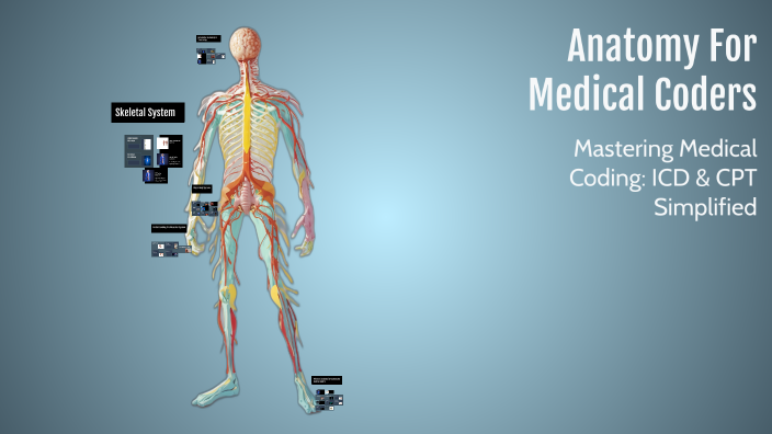 Anatomy For Medical Coders by TherMite educare on Prezi