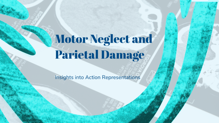 Motor Neglect and Parietal Damage by Gabrielle Sinclair on Prezi