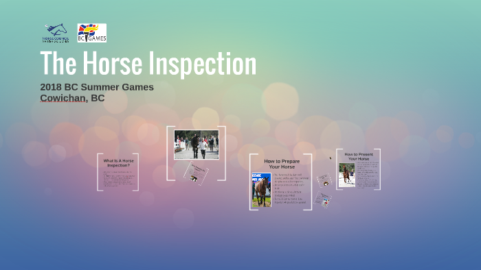 The Horse Inspection by Aynsley Cairns on Prezi