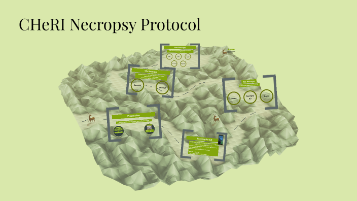 Necropsy Protocol by Megan Cox on Prezi