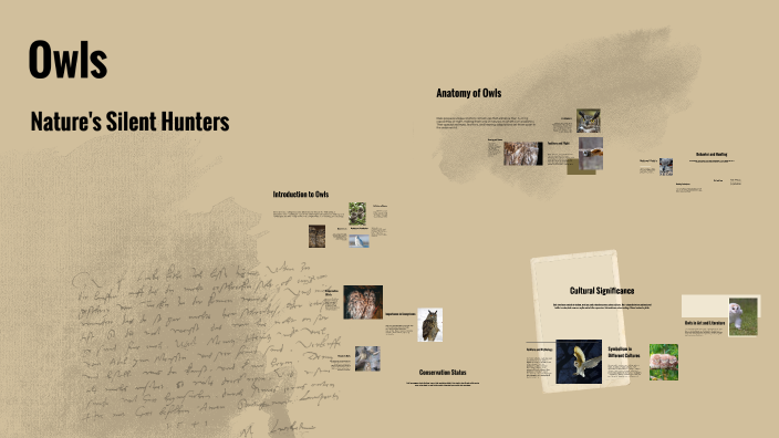 Owls by Test User on Prezi