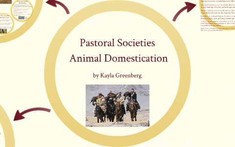 Pastoral Societies - Animal Domestication by kayla gberg on Prezi