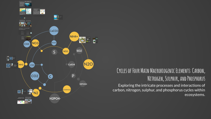 Cycles of Four Main Macrobiogenic Elements: Carbon, Nitrogen, Sulphur ...
