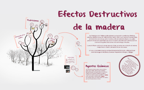Efectos Destructivos by Moni Rios on Prezi