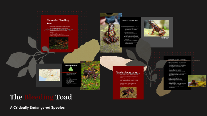 The Bleeding Toad by Emma Dean on Prezi