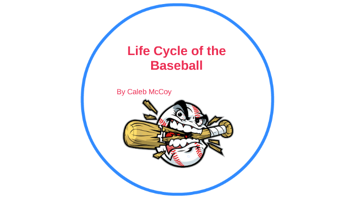 Life Cycle of the Baseball by Caleb McCoy on Prezi