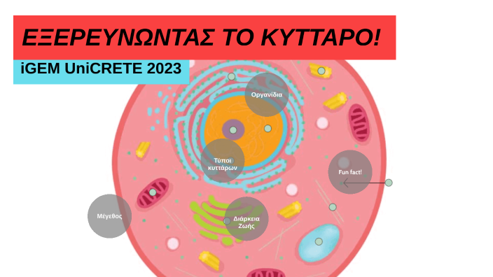 ΕΞΕΡΕΥΝΩΝΤΑΣ ΤΟ ΚΥΤΤΑΡΟ by Antonia Papoulia on Prezi