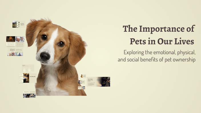 The Importance of Pets in Our Lives by AlexaMC on Prezi