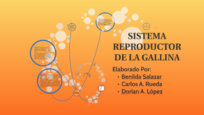 Sistema Reproductor de la Gallina by Dorian Lopez on Prezi