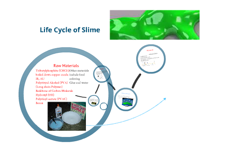 The Life Cycle Of Slime by Taleeyk lozada on Prezi