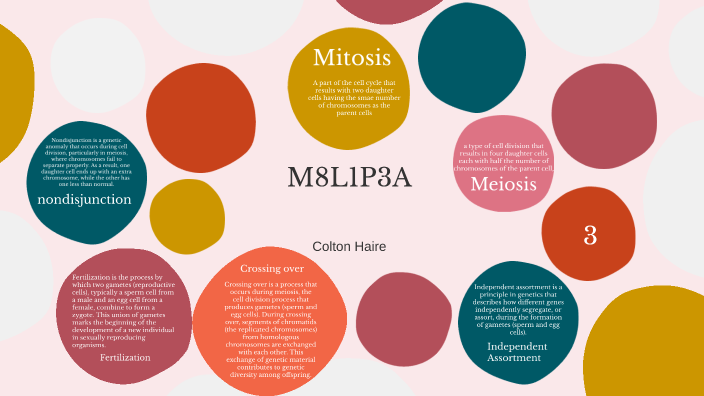 Module Eight Lesson One Pathway Three Activity by colton haire on Prezi