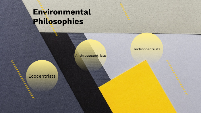Environmental Value System by Guada Martín on Prezi