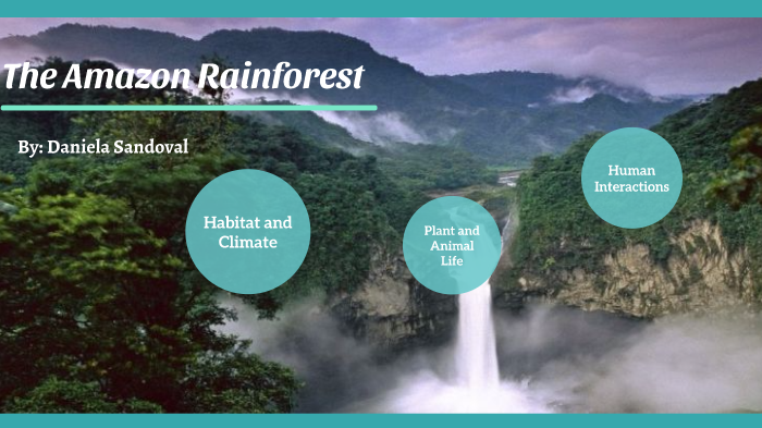 Amazon Rainforest Project by Daniela Sandoval on Prezi