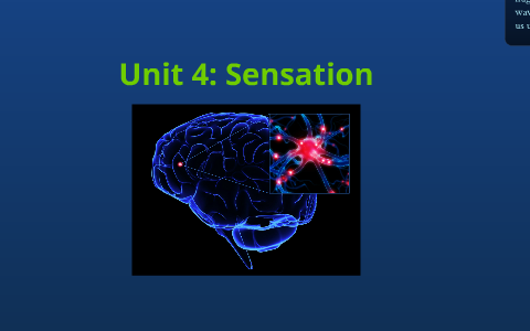 AP Psychology Unit 4: Sensation by Hannah Anderson on Prezi