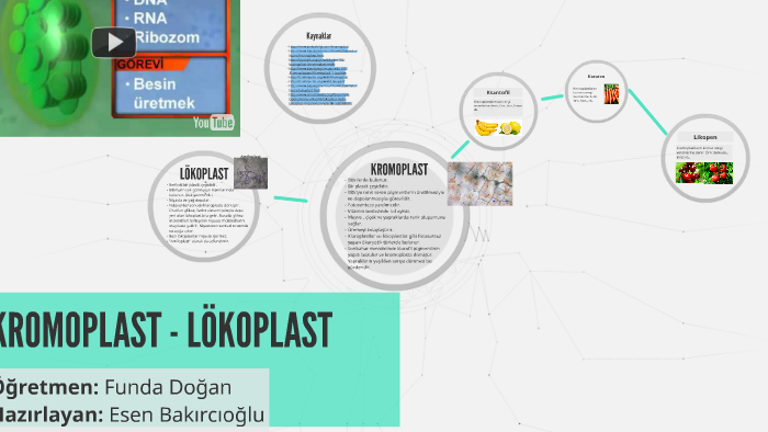 KROMOPLAST by Esen Bakırcıoğlu on Prezi