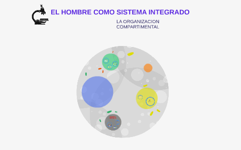 EL HOMBRE COMO SISTEMA INTEGRADO by carlos rodolfo radillo yee on Prezi