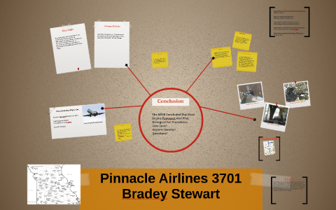 Pinnacle Airlines Flight 3701 by Bradey Stewart