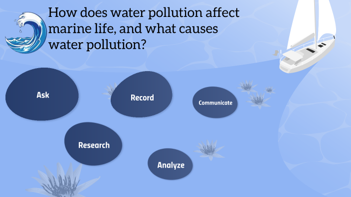 The Causes and Effects of Water Pollution on Marine Life by Maya Pattni ...