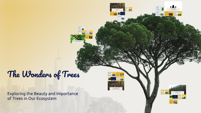The Wonders of Trees by Степан Каденчук on Prezi