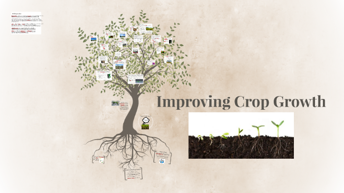What is Plant Phenomics by cara dillon on Prezi