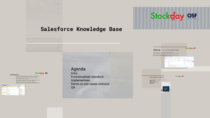 Salesforce Knowledge Base by Lidia Privantu on Prezi