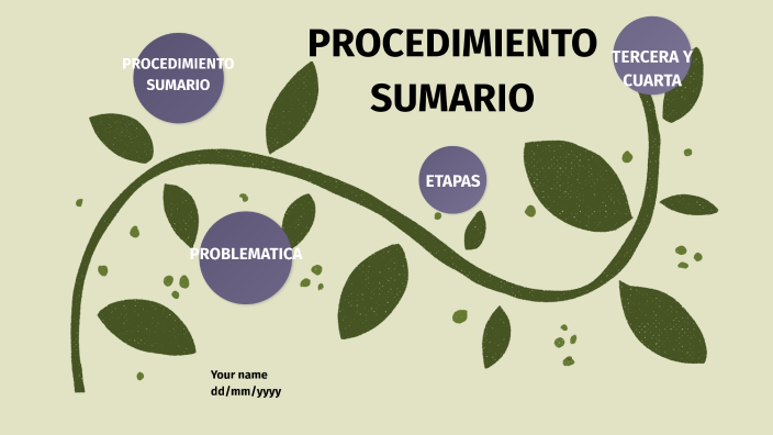 PROCEDIMIENTO SUMARIO by Irene Vargas on Prezi