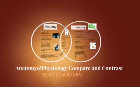 Anatomy Physiology Compare And Contrast By Ambria Arram On Prezi