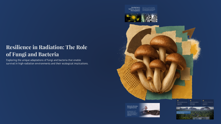 Resilience in Radiation: The Role of Fungi and Bacteria by Miguel Nunez ...