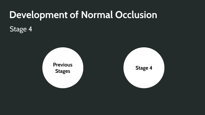 Development of the normal occlusion (stage 4) by Menna Ahmed on Prezi