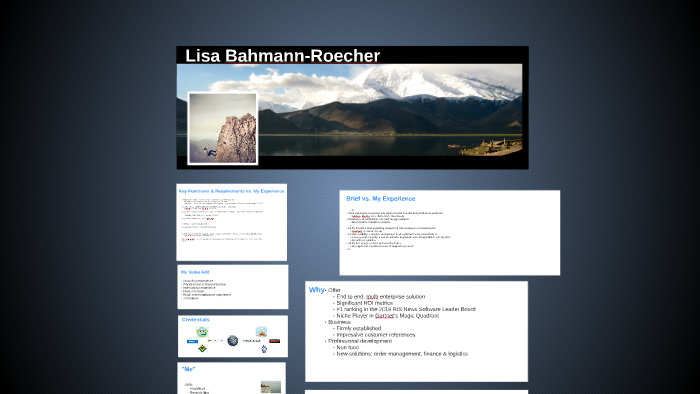 Work Experience by lisa Bahmann Rocher on Prezi