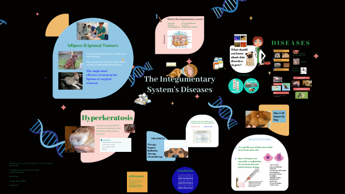 PROFESSIONAL VERSION The Integumentary System in Animals by Cristina ...