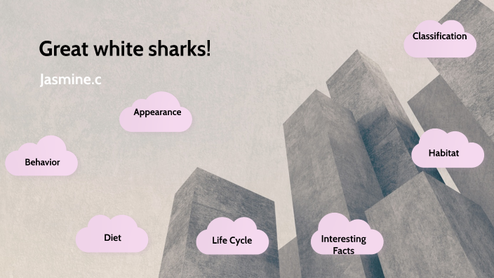 Jasmine - Great White Shark by Jessica Rose'Meyer on Prezi