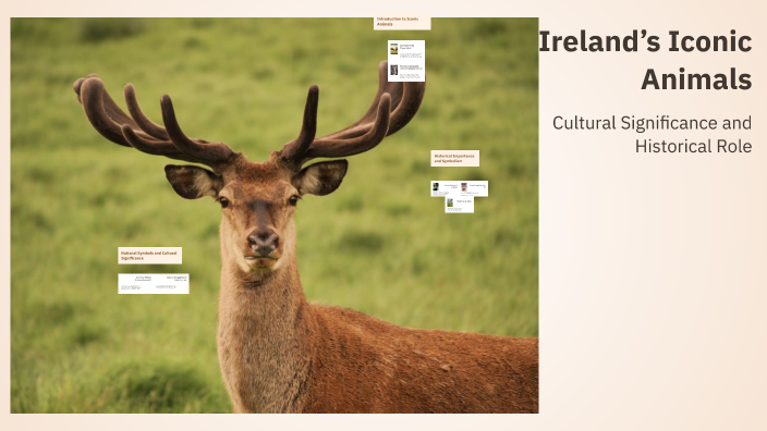 Exploring Ireland’s Iconic Animals by Sigma Woman on Prezi