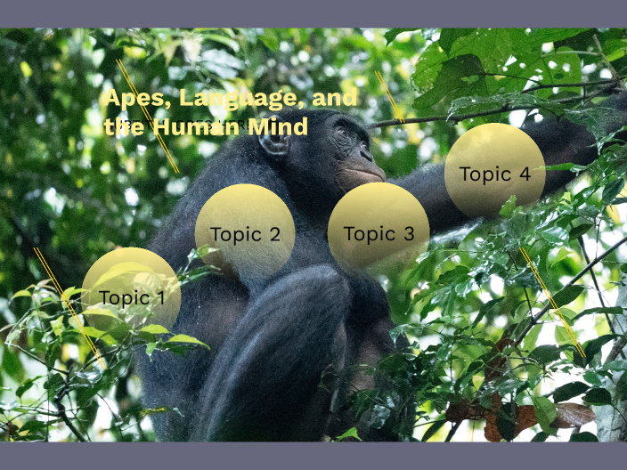 Apes, Language, and the Human Mind by Hannah Grieve on Prezi