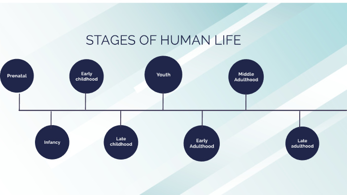 Stages of Human lifespan by Kasthury Shanthakumar on Prezi