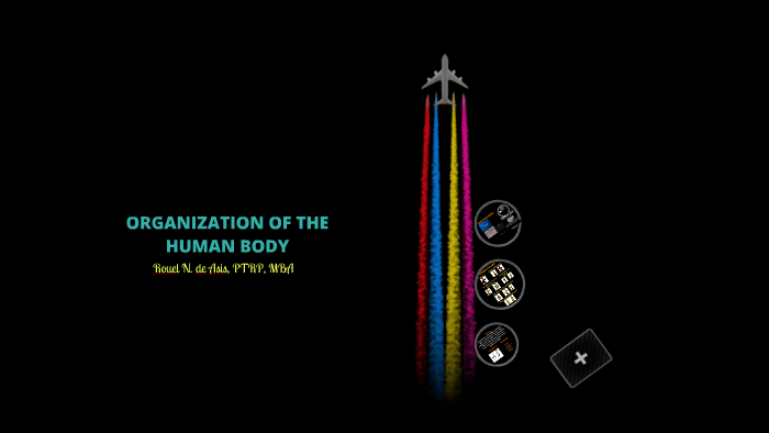 Organization of the Human Body by Rouel de Asis on Prezi