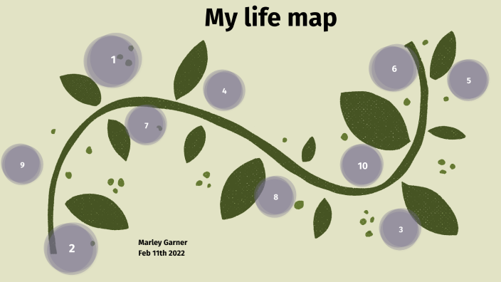 Life Map - Marley by marley garner on Prezi